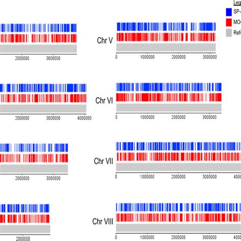 Diagram Depicting The Location Of All Detected Nonsynonymous Single Download Scientific Diagram