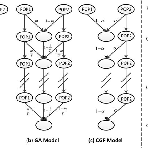 Four Different Types Of Admixture Model A Hybrid Isolation Hi Model Download Scientific