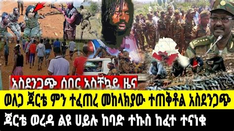 አስደንጋጭ ነው ዘግናኚ ወለጋ መከላክያው ተጠቃ ልዩ ሀይሉ መሳሪያ ጠመደ Youtube