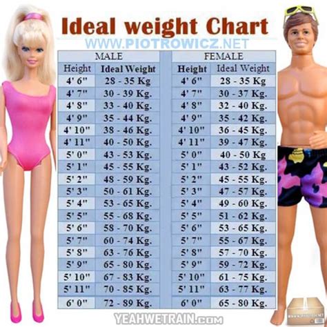Ideal Weight Chart What Is Your Ideal Where Are You Now Sexy PROJECT NEXT Bodybuilding