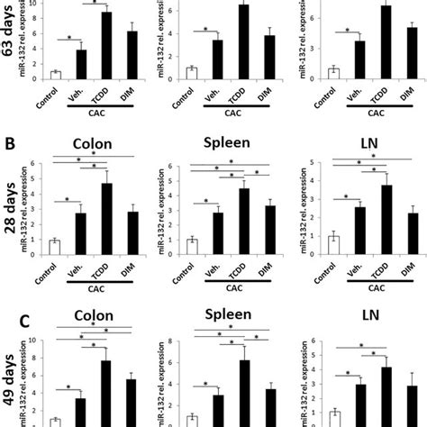 Tcdd And Dim Attenuate Aom Dss Induced Cac In Mice A Schematic Download Scientific Diagram