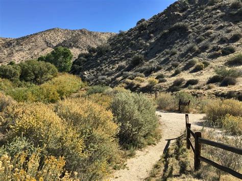 Big Morongo Canyon Preserve Morongo Valley 2021 All You Need To