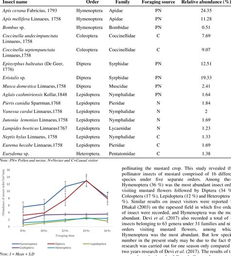 Insect Pollinator Diversity Their Relative Abundance And Foraging Sources Download Scientific