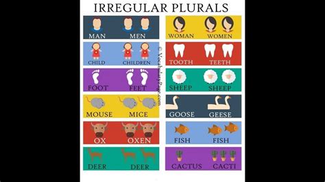 Урок 69 Образование множественного числа в английском Часть 2 Youtube