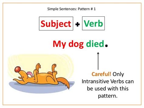 Sentence Structure Basics