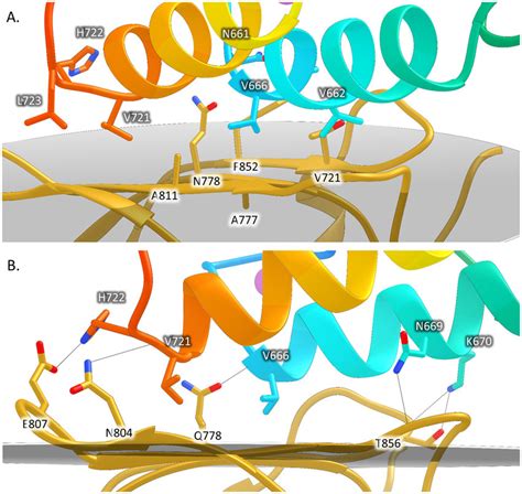 Cohesin Dockerin Interface Of Rfcohscab5 Docscaa Structure Of Download Scientific Diagram