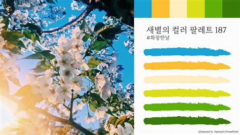 [powerpoint Color Palette Free Download] 새별의 컬러 팔레트 187 화창한 날 Saebyeols Powerpoint Sunny Day
