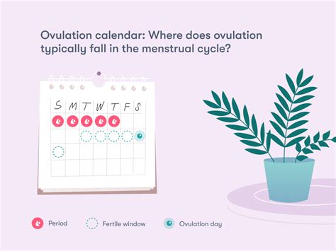 Exact Ovulation Day Calculator Thorincairn