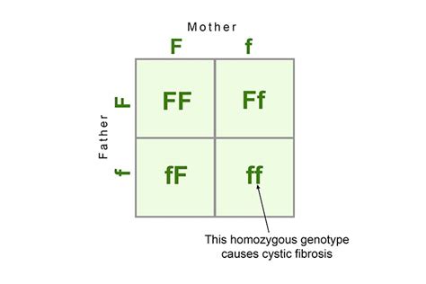 gcse memes 2023 on twitter if this comes up on biology paper 2 i m