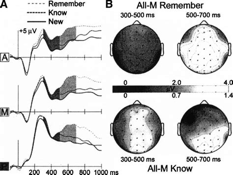Erp Correlates Of Episodic Recollection And Familiarity A Download Scientific Diagram