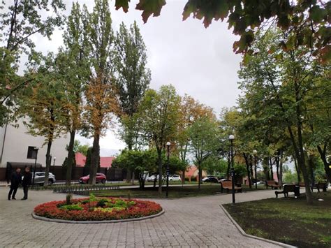 Озеленення Києва у Печерському районі оновили сквер ФОТО Коментарі Київ