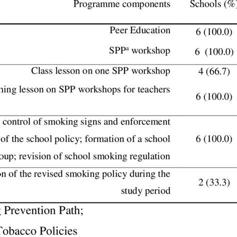 Monitoring Of The Process Of The Ldp Programme In Intervention Schools