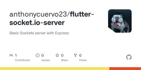GitHub Anthonycuervo23 Flutter Socket Io Server Basic Sockets Server