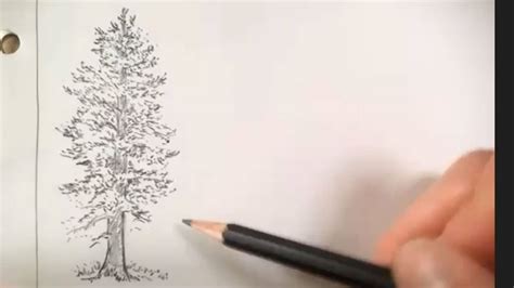 Hike And Draw How To Draw Trees FREE TUTORIAL