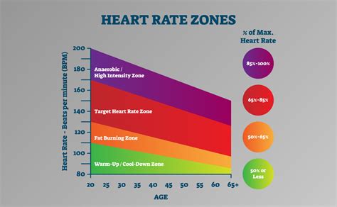 Heart Rate Training Zones Austin Fit Magazine Inspiring Austin