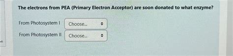 Solved The Electrons From Pea Primary Electron Acceptor