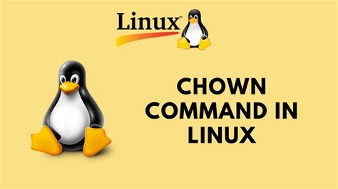 Linux Command Line Basics Tutorials Chown Command In Linux Youtube
