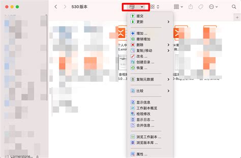 高效易用的 Mac 版 Svn 客户端：macsvn 使用体验 技术栈