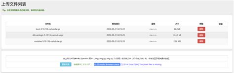 0202 Invalid Firmware Check 191m Error 0m The Boot Files Is