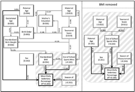 Path Diagrams Showing The Direct And Indirect Predictors Of Percent Of