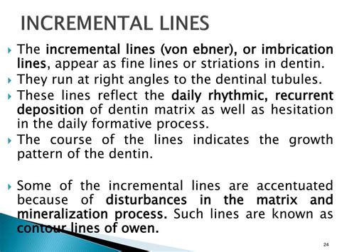 Ppt Dentin Powerpoint Presentation Free Download Id835637