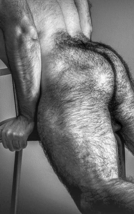 Post [775993249508786176] Only Hairy Men Are Real Tumbex