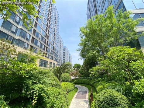 滨江同协金座公寓 滨江同协金座 上城 同协金座售楼处丨同协金座楼盘价格itsmetersof