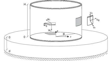 Definition Of The Displacement Components And Of The Local Coordinate