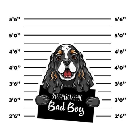 Cocker Spaniel Stock Illustrations 3915 Cocker Spaniel Stock