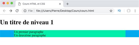 Gestion Des Marges Externes Margin En Css Pierre Giraud