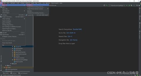 什么是spark，spark core，spark sql，scala概述，scala运算符，程序流程控制，scala循环，scala集合