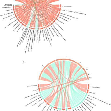 Unique And Overlapping Gene Sets Within Cognitive Task Performance And