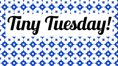 Its Tiny Tuesday Time 🎉🎉 Youtube