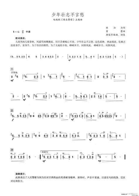 少年壮志不言愁（笛子演奏提示版） 歌谱简谱网