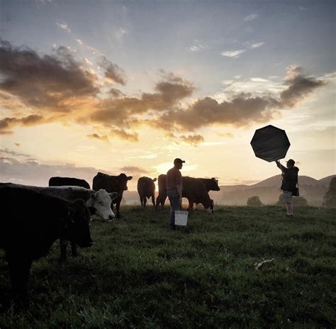 About Scott — Scott Stebner