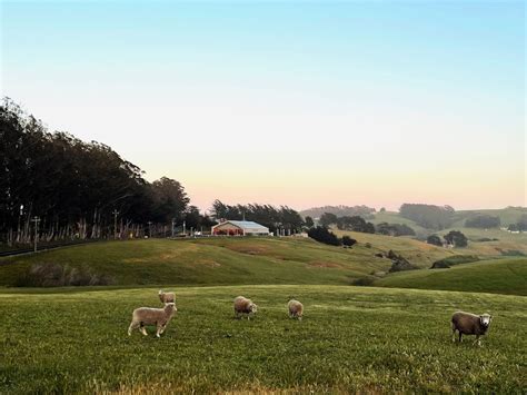 Sutter County Superior Courthouse By Rossdruliscusenbery Architecture