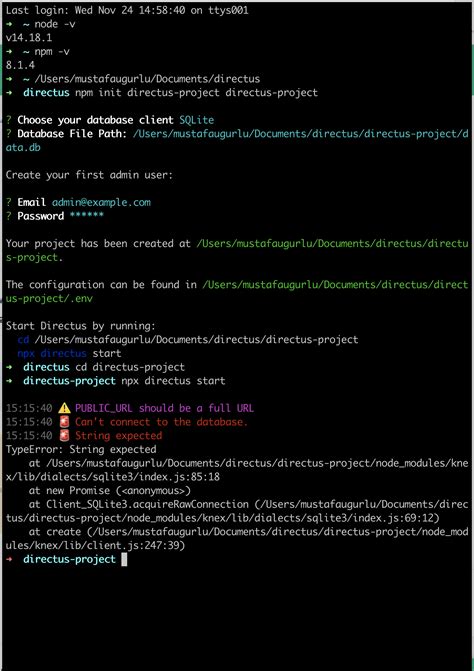 I Cant Run It With Sqlite · Issue 10022 · Directus Directus · Github