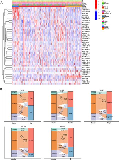 Clinical And Molecular Characteristics Of The Luad Subtypes A