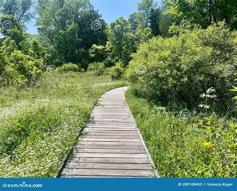 A Boardwalk In Cedar Bog Nature Preserve Urbana Oh Stock Image Image Of Ohio Sunlight