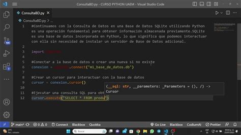Consulta De Datos En Una Base De Datos Sqlite Utilizando Python Youtube