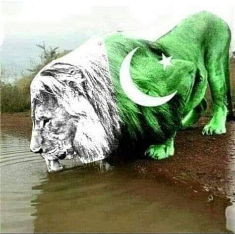 خکلی صوابیی