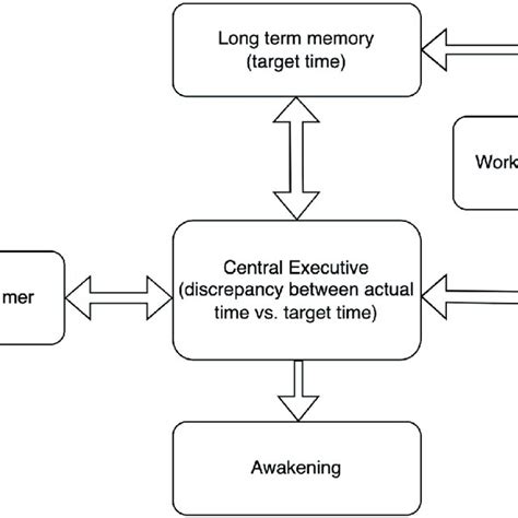 Proposed Schematic Model Of The Cognitive Operations Potentially Download Scientific Diagram