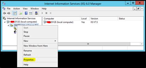 Email Windows Server 2019 IIS SMTP Server Fault
