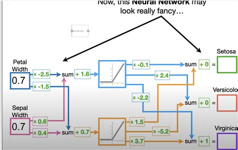 Now This Neural Network May Look Really Fancy Studyx