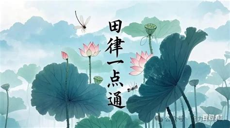 儿媳、女婿是公婆或者岳父母的法定继承人吗？ 知乎