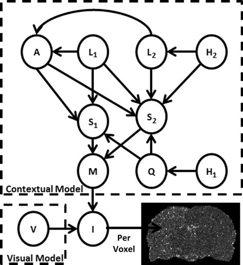 Graphical Representation Of The Bayesian Network Showing The Download Scientific Diagram