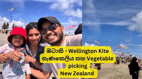 Vegetable Picking And Kite Festival At Otaki Wellington එලවළු පලතුරු