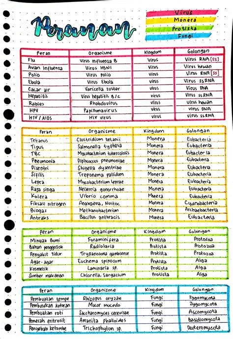 Reproduksi Basidiomycota Dunia Belajar