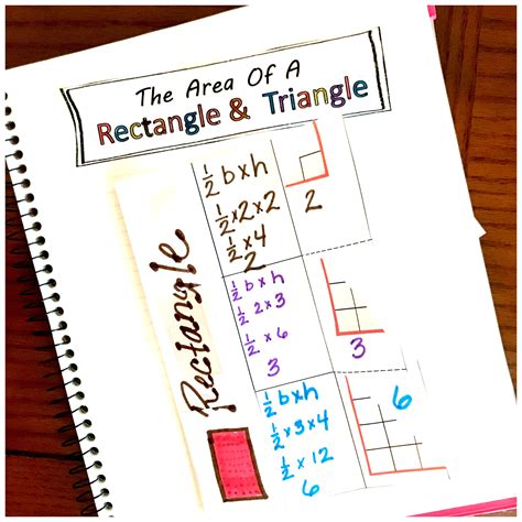No Nonsense Interactive Notebook For Area Of A Triangle Activities