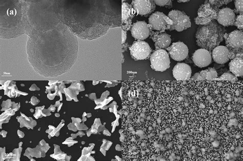 tem a of core shell mesoporous sio2 sem b of the core shell